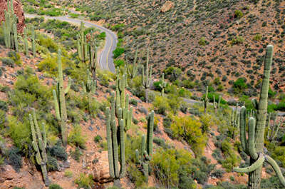Apache Trail | Arizona Scenic Drives on myscenicdrives.com